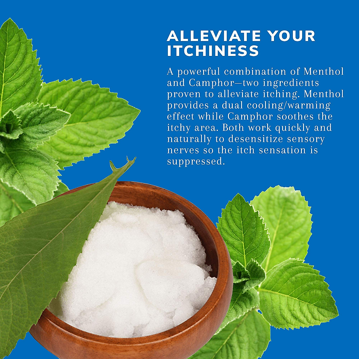 Earth's Care Anti Itch Cream - Extra Strength - Soothes Sunburns, Rashes and Minor Skin Irritation 2.4 OZ (3 Tubes)