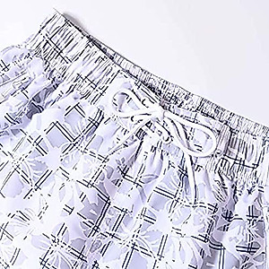 AIchenYW Men's Casual Shorts Drawstring Elastic Waist Printed Beach Short Pants Summer Refreshing Sports Shorts