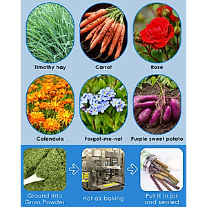 Bissap 36PCS Bunny Chew Sticks, Mixed Natural Timothy Hay Carrot Purple Potato Flowers Rabbit Treats for Bunny Chinchilla Guinea Pig Hamster and Other Small Animals Molar Snack Toy