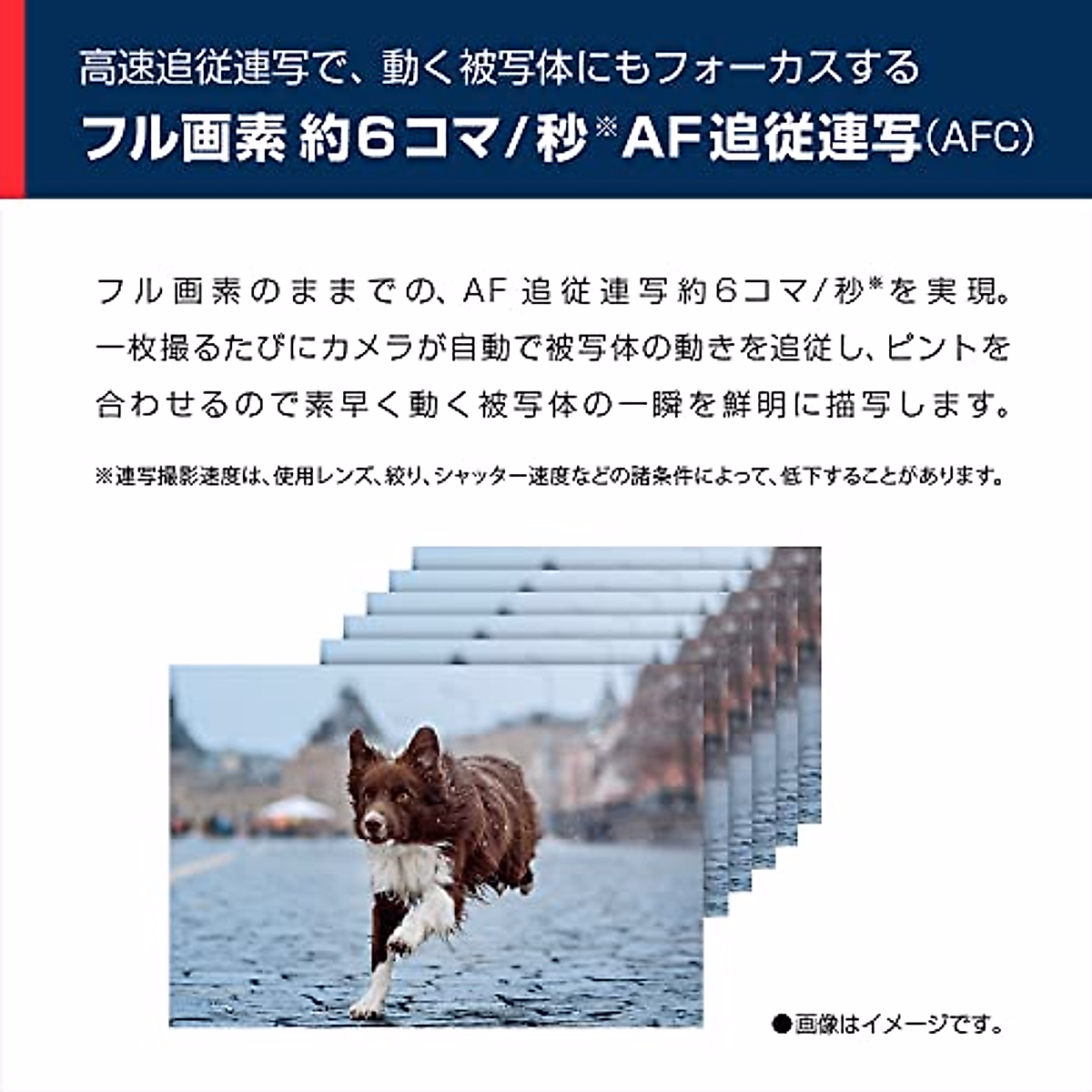 Panasonic DC-G99D [LUMIX G99D Body Four Thirds Sensor Mirrorless Camera] 20.3MP Zoom Lens Kit Shipped from Japan Released in 2022