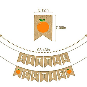 Burlap Little Cutie Banner Boy Girl Clementine Orange Baby Shower Birthday Party Decoration