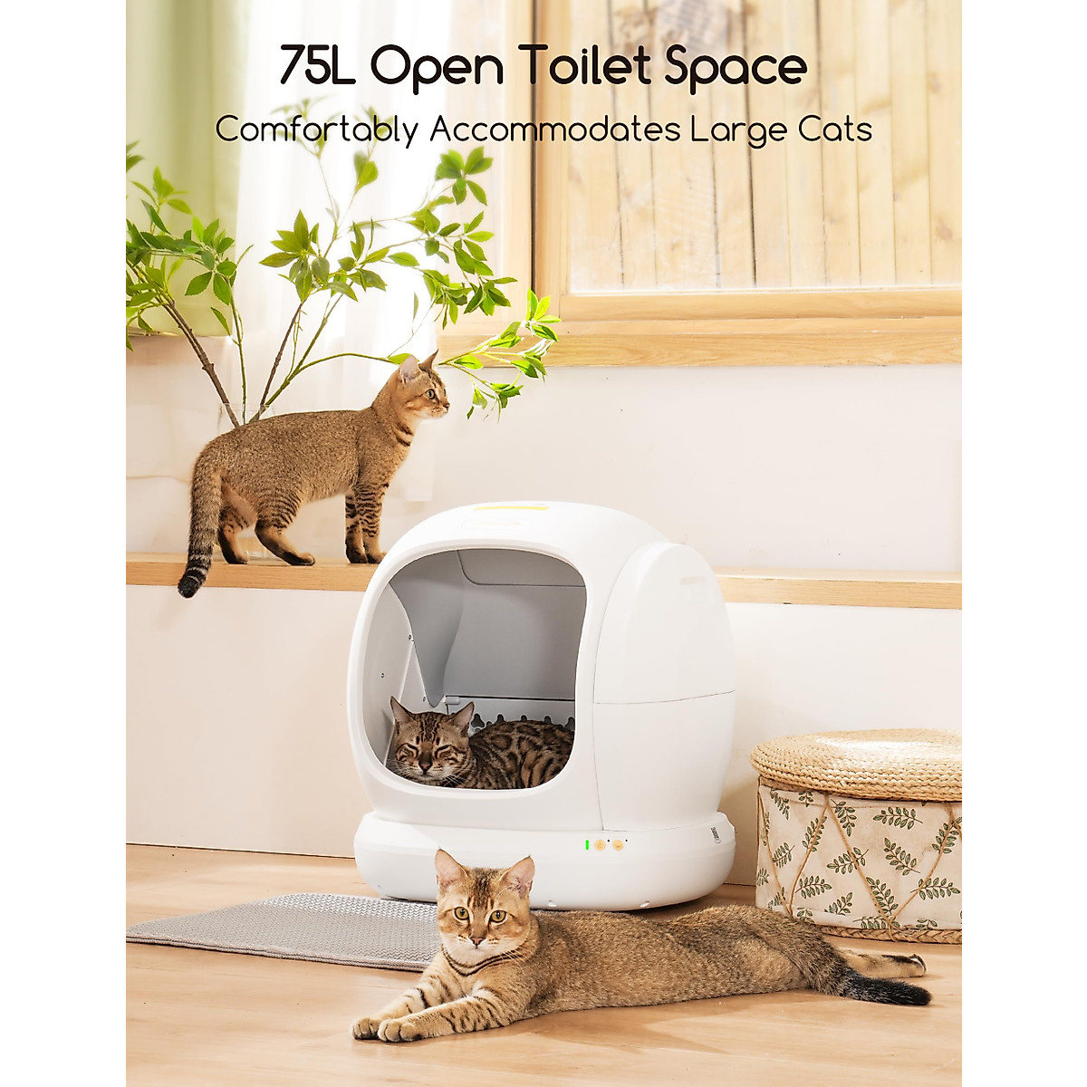 MeoWant Self-Cleaning Cat Litter Box, 75L Extra Large Open Automatic Cat Litter Box for Multi Cats, Integrated Safety Protection/APP Control/Odor Removal Smart Litter Box with Mat & Liner