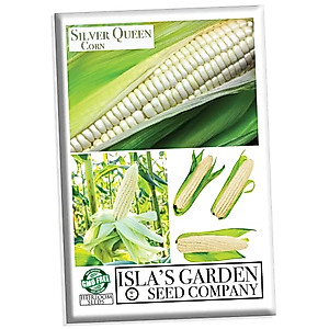 "Silver Queen" Corn Seeds for Planting, 50+ Heirloom Seeds Per Packet, (Isla's Garden Seeds), Non GMO Seeds, Botanical Name: Zea mays