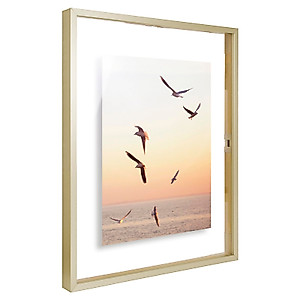 Frametory, Floating Picture Frame 11x14 - Gold Aluminum Metal Photo Frame - Real Glass of Front - for Wall Mount Displays