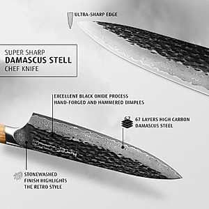 hecef 8 Inch Chef Knife Damascus Professional Japanese Knife, High Carbon Damascus Stainless Steel Kitchen Knife with Ergonomic Olive Wood Handle, Sharp Cooking Knife