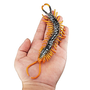 Toymany 12PCS Realistic Bugs Figures Toys - Plastic Insects Figurines Set with Bee Beetle Mantis Spider Ladybug Butterfly Scorpion - Halloween Party Favor School Project Gift for Kids Toddlers