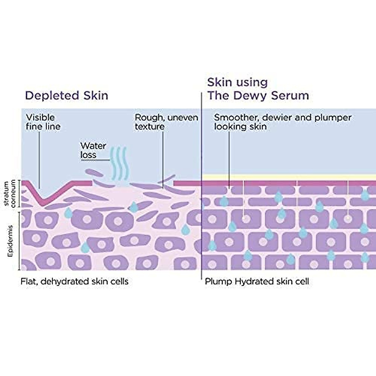 TATCHA The Dewy Serum | Plumping & Smoothing Treatment, 3-in-1 Serum Gently Smooths, Plumps & Locks in Moisture | 1 oz