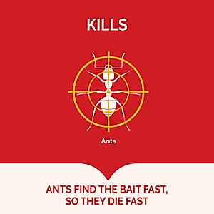 Hot Shot Ultra Liquid Ant Bait, Contains Both Food & Water, 4 Count, Berry