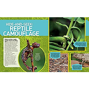 Ultimate Reptileopedia: The Most Complete Reptile Reference Ever