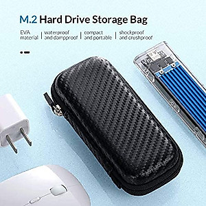 ORICO Portable Solid State Drive Case for M.2 NVMe/SATA SSD Enclosure, Shockproof EVA Carrying Case for SD Memory Cards, Charger, Data Cable,Earphone and More-M2PH01