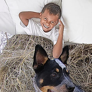 CafePress Australian Blue Heeler Pup Throw Blanket Super Soft Fleece Plush Throw Blanket, 60"x50"