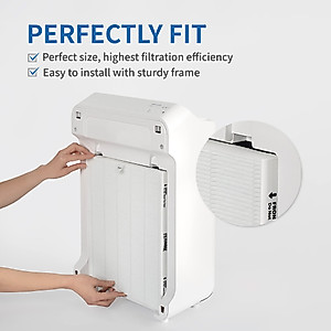 Filteridge C545 Replacement Filter, Compatible with Winix C545, Winix S Filter 1712-0096-00 Air Purifier, H13 True HepaFilter Replacement, 1 H13 HEPA Filter + 4 Activated Carbon Filters