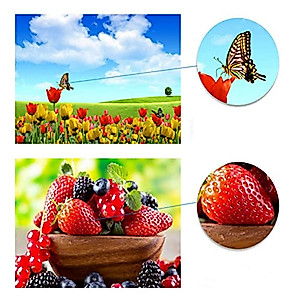 SPLENDIDCOLOR Remanufactured B5 Toner Replactment for OCE 25001843 OCE B5 OCE 9600 TDS300 TDS400 TDS600 Printer.(2 x B5 Toner and Waste)