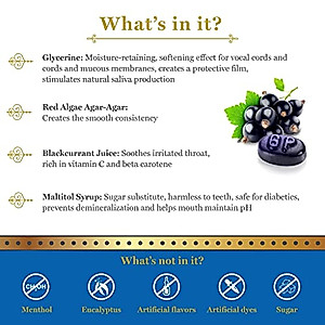 Grether's Sugarfree Blackcurrant Pastilles Natural Remedy for Dry Mouth Relief - Soothing Throat & Healthy Voice - Long-Lasting Fruit Flavor, Breath Fresh with Benefits - Gluten-Free - 1-Pack - 3.75 oz.