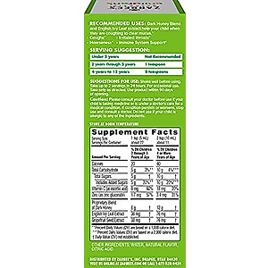 Zarbee's Naturals Children's Grape Cough Syrup + Mucus Relief - 4 oz