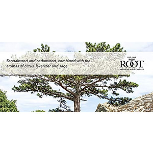 Root Candles Scented Candles Honeycomb Veriglass Premium Handcrafted Beeswax Blend Candle, Large, Japanese Cedarwood