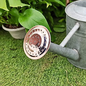 yourjoy Metal Watering Can, One Gallon Watering Cans Stainless Steel for Outdoor Indoor Garden Plants Watering (Zinc 1 Gallon)