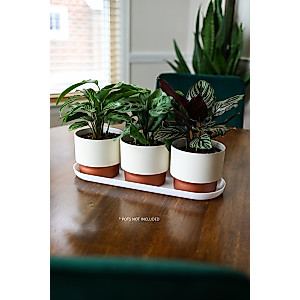 The HC Companies 15 Inch Oval Sprite Pot Plant Saucer - Indoor Outdoor Plastic Plant Trays for Pots - 15"x5.21"x.93, Artisan Taupe