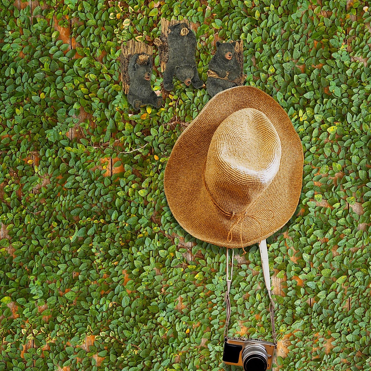 BestGiftEver Black Bear Coat Hooks - Playful Black Bear on Branch Wall Hooks Set of 3 - Rustic Towel Holder, Coat Hanger Wall Mounted Decor for Cabin Lodge - Ideal for Nature and Hunting Enthusiasts