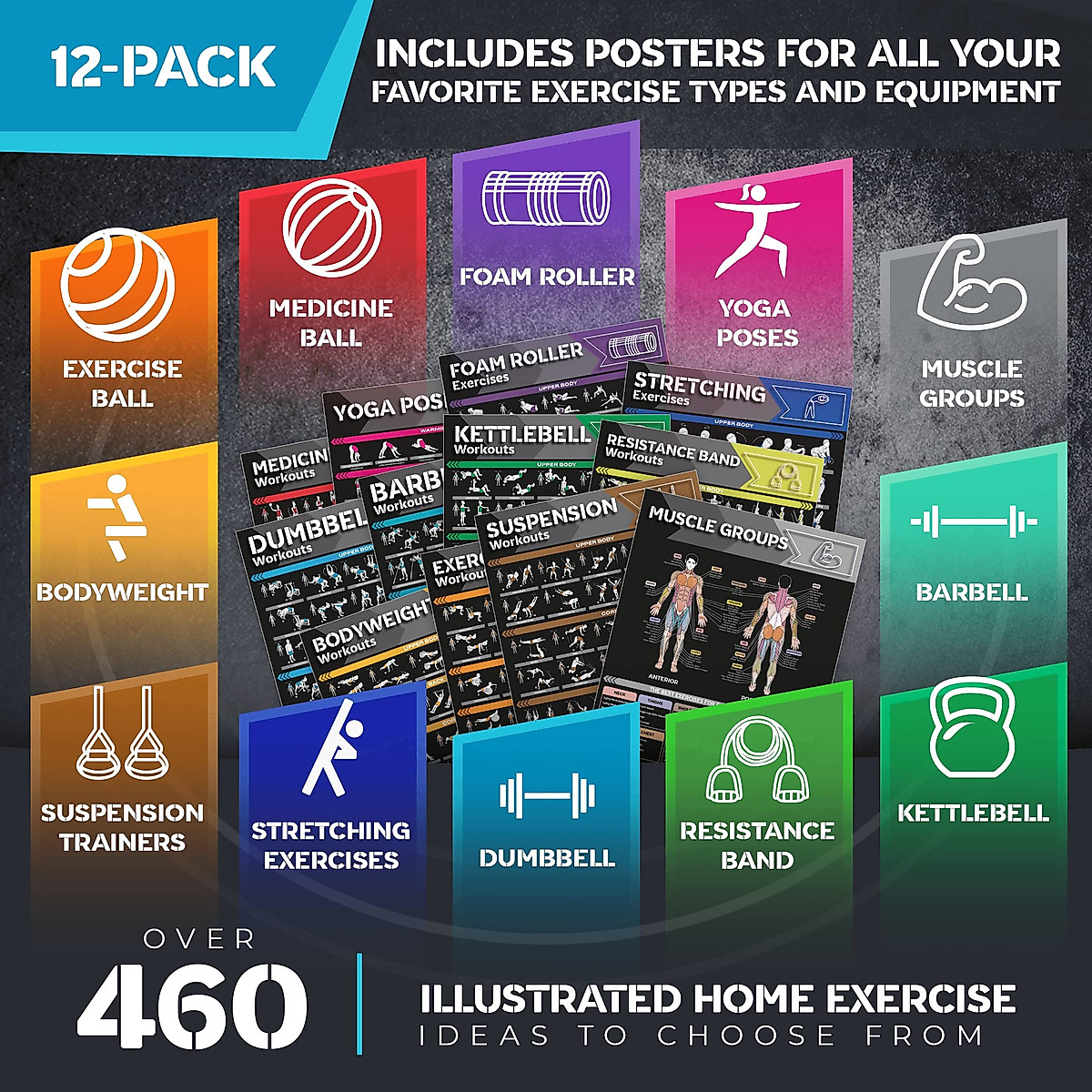 [12-PACK] Laminated Large Workout Poster Set - Perfect Workout Posters for Home Gym - Exercise Charts Incl. Dumbbell, Yoga Poses, Resistance Band, Kettlebell, Stretching & More Fitness Gym Posters