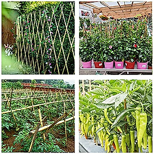 Cambaverd 25 Pcs Bamboo Garden Stakes 4 Feet Eco-Friendly Bamboo Plant Stakes, for Roma Tomatoes Sunflowers Pole Beans Trees Potted Dahlia Flowers and Climbing Plants - Pack of 25 Bamboo Sticks