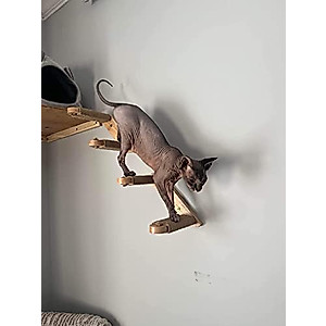 Cat Wall Mounted Shelf Furniture,Cat Climbing Shelves,with Jute Scratching for Indoor Cats Four Steps Stairs,Heavy Duty Wooden Cats Perch Platform (Big-Right to Left)