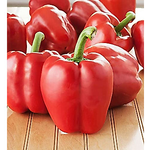 Big Red Bell Pepper Seeds for Planting, 50+ Heirloom Seeds Per Packet, (Isla's Garden Seeds), Non GMO Seeds, Botanical Name: Capsicum annuum, Great Home Garden Gift
