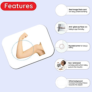 My First Body Parts Flash Cards for Toddlers - 24 Cards - 48 Sides, Montessori, Educational, Kindergarten, Preschool Learning Activities, Gifts for Kids, 1-4 Years babies, Fun & Educational Flashcards
