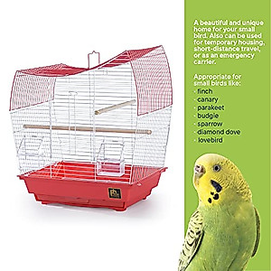 Prevue Pet Products South Beach Wave Top Bird Cage, Coral (Model: SP50110)