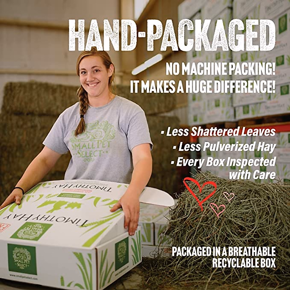 Small Pet Select 2nd Cutting Perfect Blend Timothy Hay Pet Food for Rabbits, Guinea Pigs, Chinchillas and Other Small Animals, Premium Natural Hay Grown in The US, 12 LB