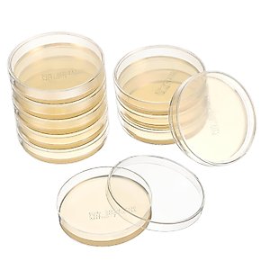 ULTECHNOVO Sciences Nutrient Agar Petri Dishes 10pcs Pre-Poured Agar Plates for Mushrooms, Home Test Kit, or for Science Fair Projects
