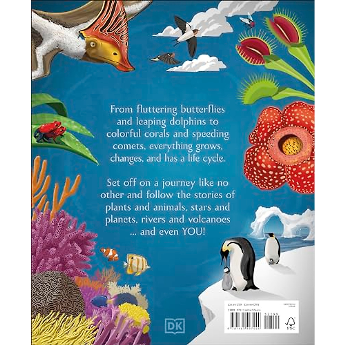 Life Cycles: Everything from Start to Finish (DK Life Cycles)