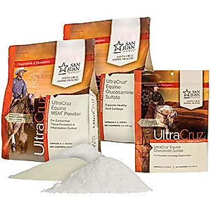 UltraCruz Equine MSM, Glucosamine Sulfate and Chondroitin Sulfate Horse Joint Supplement Bundle, 4 lb Each MSM and Glucosamine, 1 lb Chondroitin, Powders