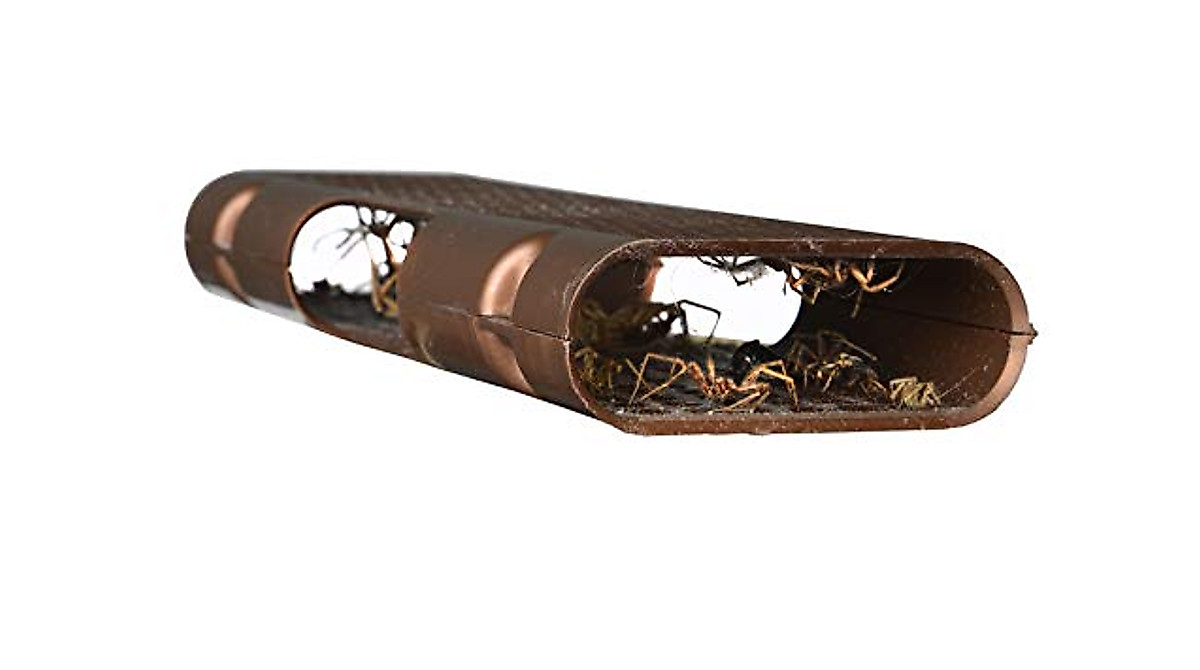 RESCUE! Spider Traps for Safe, Effective Spider Control - Pack of 3