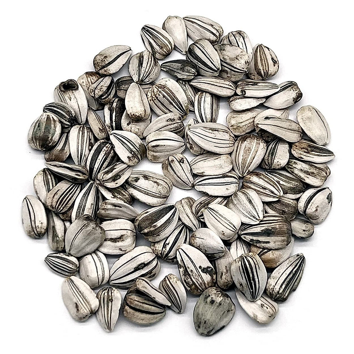 The Old Farmer's Almanac Sunflower Seeds (Mammoth Gray Stripe) - Approx 80 Flower Seeds - Premium Non-GMO, Open Pollinated, USA Origin