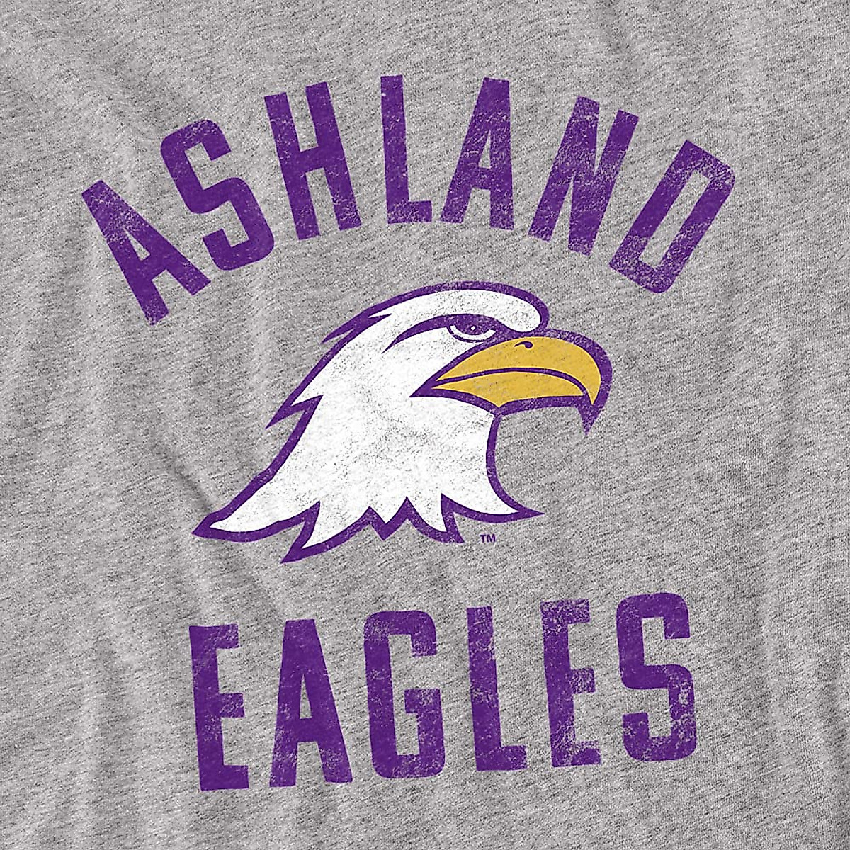 Ashland University Official Ashland Eagles Logo Unisex Youth T Shirt,Athletic Heather, X-Large