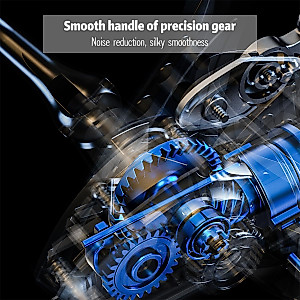 Ashconfish Spinning Reel, Saltwater Spinning Fishing Reels, Ultra Lightweight Body, 8 Stainless Steel BB, 5.0:1 Gear Ratio, Max 17.6lbs Drag, Come with 100m Braided Line