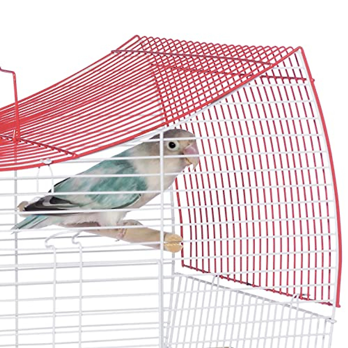 Prevue Pet Products South Beach Wave Top Bird Cage, Coral (Model: SP50110)