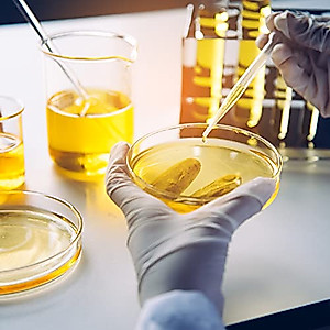 stonylab 10pk Glass Petri Dishes, 90x20 mm Autoclavable Borosilicate Glass Cell Culture Dishes Petri Dishes with Clear Lid for Laboratory