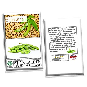 Soybeans Seeds for Planting, 25+ Heirloom Seeds Per Packet, (Isla's Garden Seeds), Non GMO Seeds, Botanical Name: Glycine max, Great Home Garden Gift