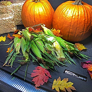 MAXLINER All Weather Cargo Liner Floor Mat Behind 3rd Row Black for 2017-2021 Chrysler Pacifica