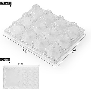 AYAYGD 40 Pack Egg Cartons Cheap Bulk 12 Count,Clear Plastice Bulk Egg Cartons for Chicken Eggs,Reusable Egg Carton for Family,Chicken Farm,Markets Display - Egg Holder, Egg Containers for Fresh Eggs