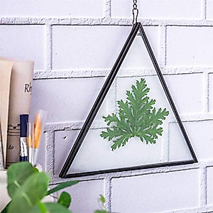 NCYP Side Length 8 Inches, Black Hanging Brass Glass Frame for Pressed Dried Flowers, Picture Photos Double Glass, Floating Frame Style Triangle Herbarium (Glass Frame Only)
