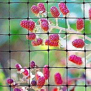 Bird-X Standard Bird Netting, Ideal for Gardens and Lightweight Applications, UV-Stabilized Mesh Netting with 3/4" Hole Opening, Easy to Install, 100' x 14'