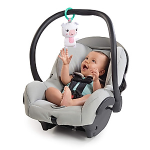 Bright Starts Daydream Blooms Activity Gym & Play Mat with Take-Along Toys, Ages Newborn + , 30x18x18 Inch (Pack of 1)