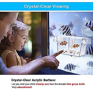 DaToo Fish Breeding Box Aquarium Holding Tank Transparent Fish Isolation Box Acclimation Hatchery Incubator Breeder Box for Baby Fish Betta Shrimp Clownfish Guppy