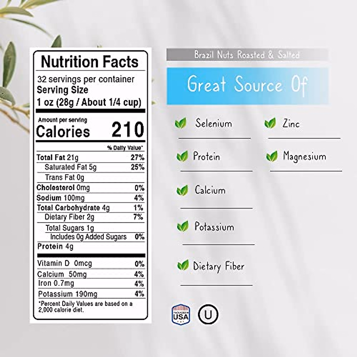 Jaybee's Roasted Salted Brazil Nuts - (32 oz) Great for Daily Use, Baking, Cooking and Gift Giving - Reusable Container - Kosher - Vegan, Paleo, Keto Friendly Healthy Snack