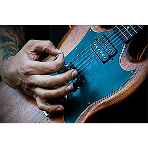 D'Andrea Snarling Dog Brain Nylon Guitar Picks 12 Pack with Tin Box (Green, 0.53mm)