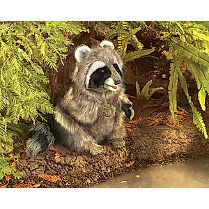 Folkmanis Raccoon Hand Puppet Plush