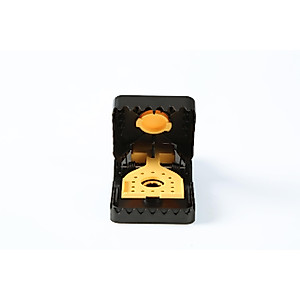 6 Pack - Rat Traps - Indoor/Outdoor, Reusable, Easy Setup, Powerful Stainless Steel Spring, Tough ABS Body. Finger Saver Design. Set Trap Without Getting Snapped (ABS Plastic, 6)